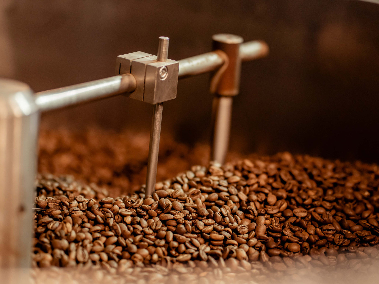 What Is Specialty Coffee?