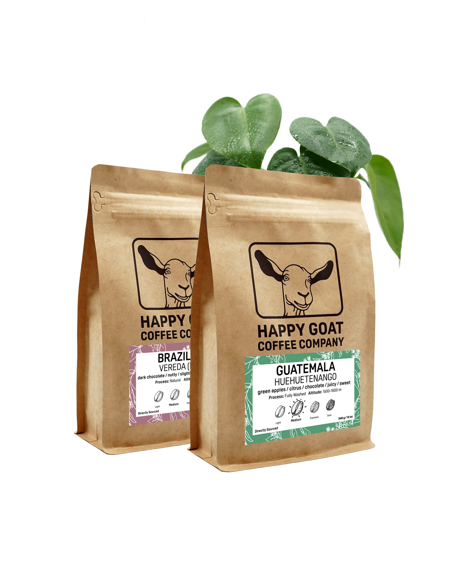 Happy Goat Coffee Co. | The Best Coffee in Ottawa