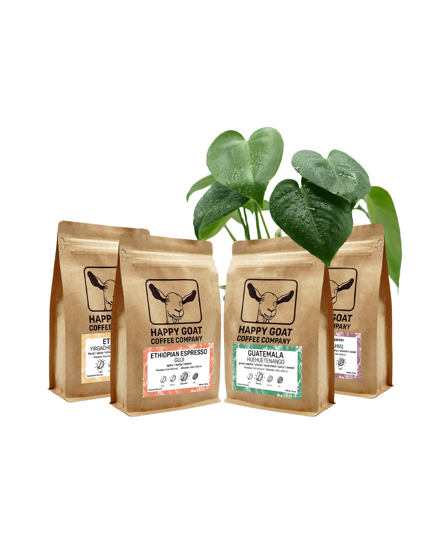 Happy Goat Coffee Co. | The Best Coffee in Ottawa