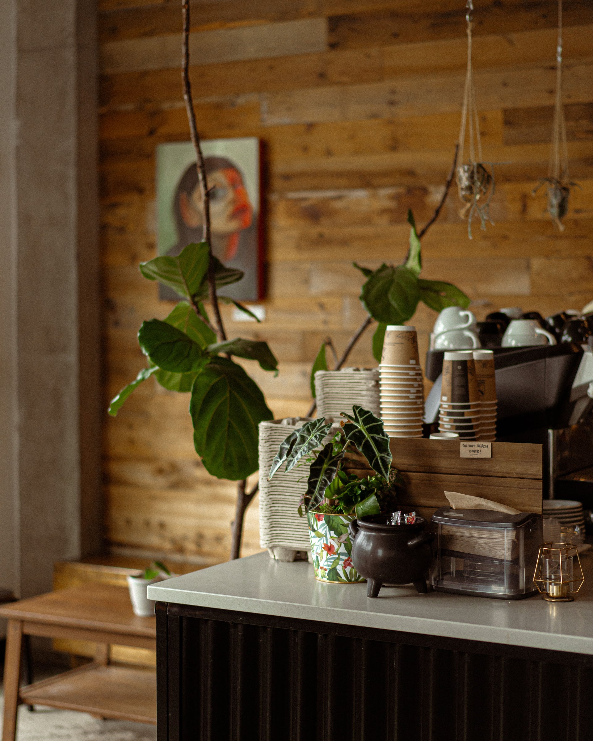 Our Cafes – Happy Goat Coffee